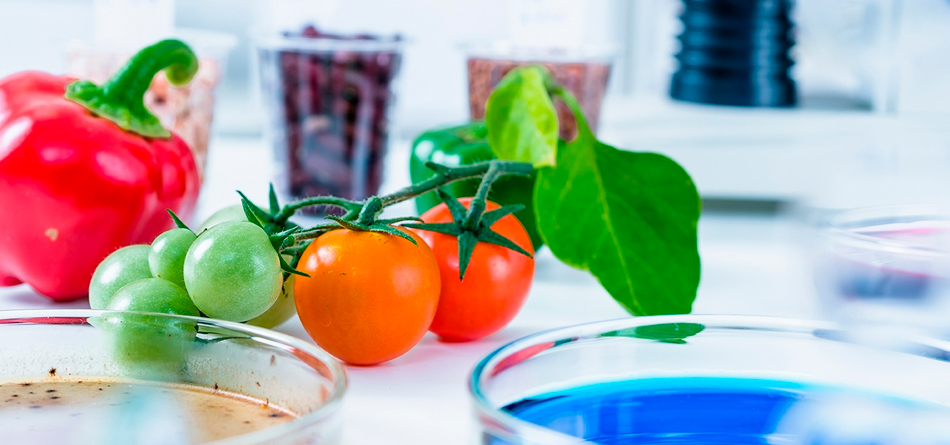 Tec. Sup. en Producción Industrial de Alimentos – ISET N° 815